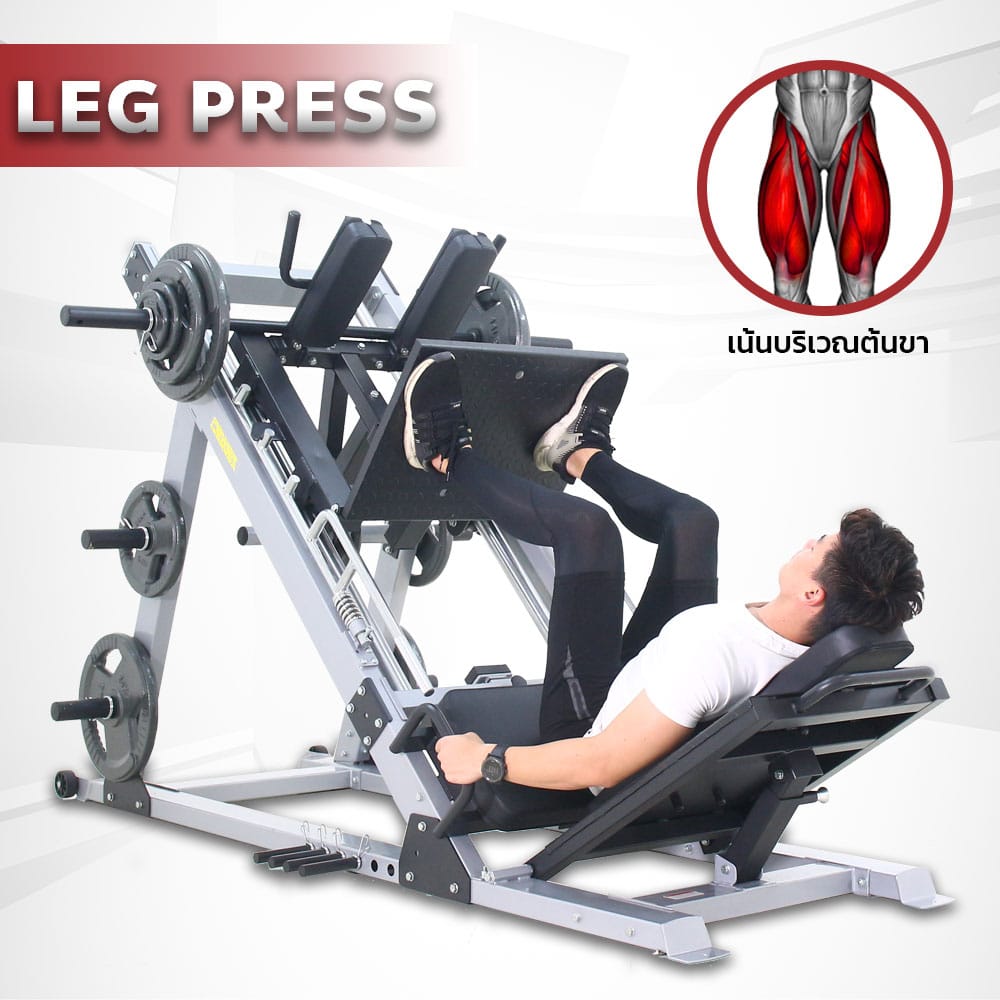 SMITH MACHINE รุ่น LEG PRESS – Time to Fitness